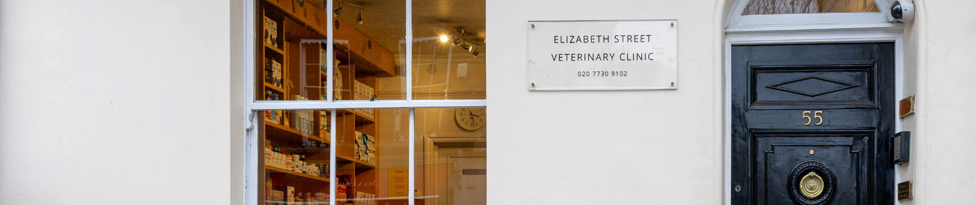 24hr Emergency Vet | Elizabeth Street Referral | Chelsea Vet Surgery
