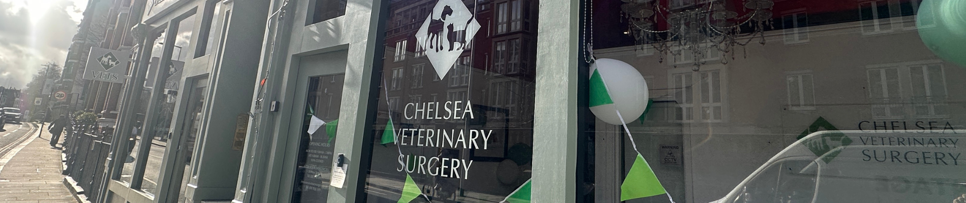 Contact us | Chelsea Vet | Chelsea Vet Surgery